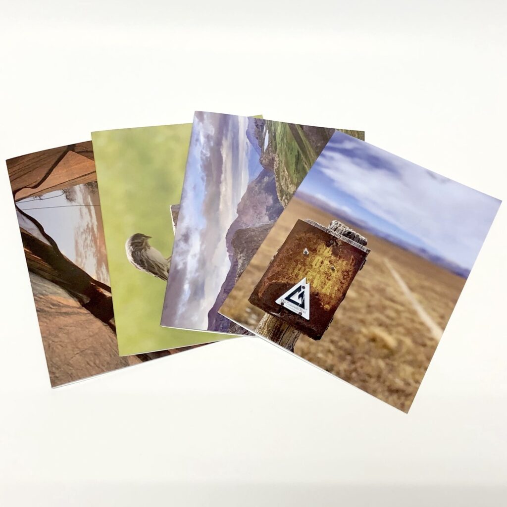 Hoo-Rag Bandanna - Colorado Trail Foundation