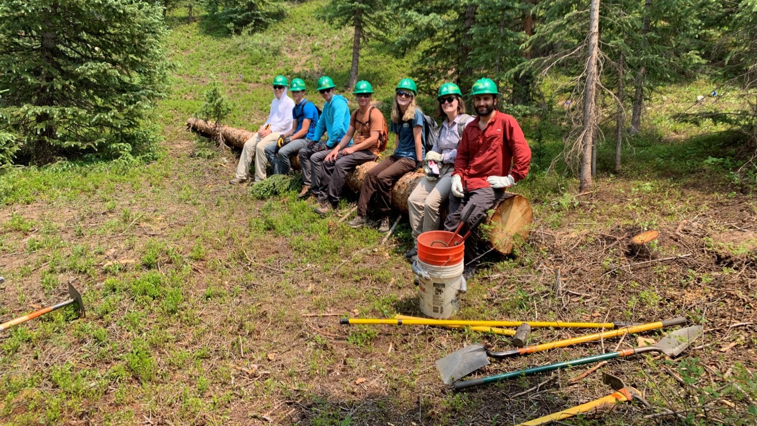 CTF Trail Crews: 2021 Accomplishments - Colorado Trail Foundation